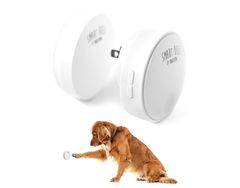 Wireless Dog Doorbell 2.0 | Dogly